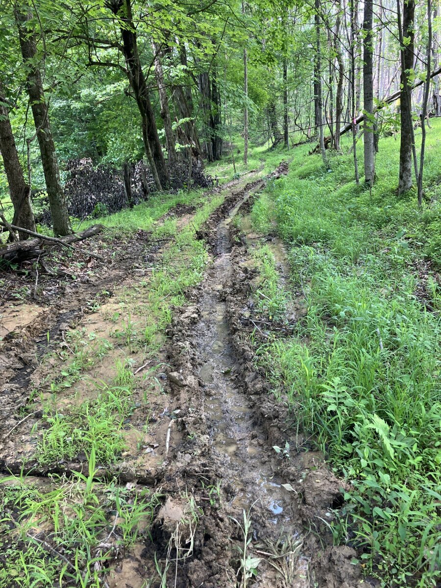 Timmy on his Eiger stuck in mud - Mud & Water ATV Riding - QUADCRAZY ...